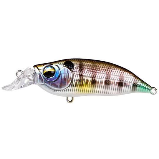 FRY Shad Shallow Diving Floating Rattl e Crankbait - RankoFishing