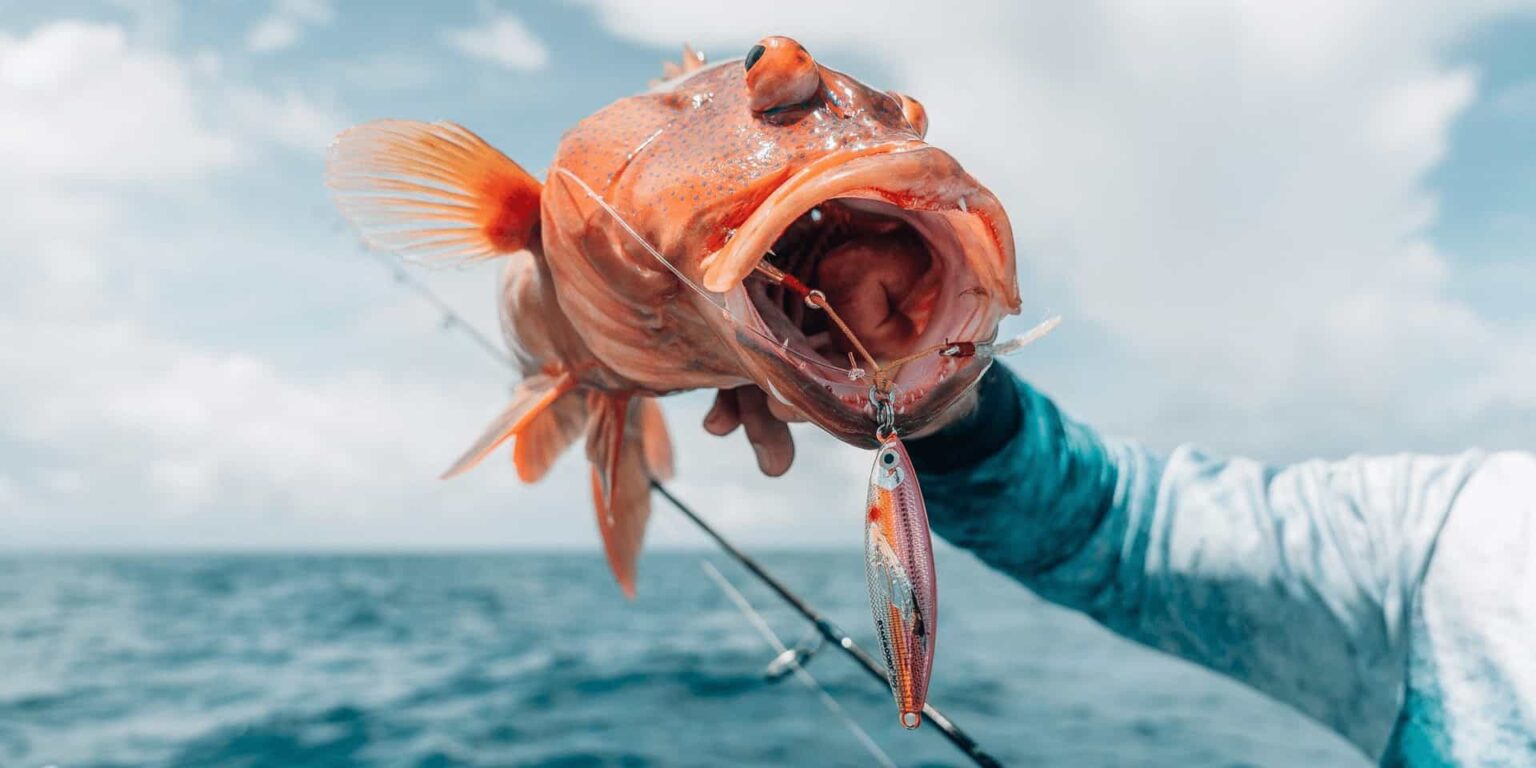 Trolling vs. Jigging: A Comprehensive Guide for Professional Anglers ...